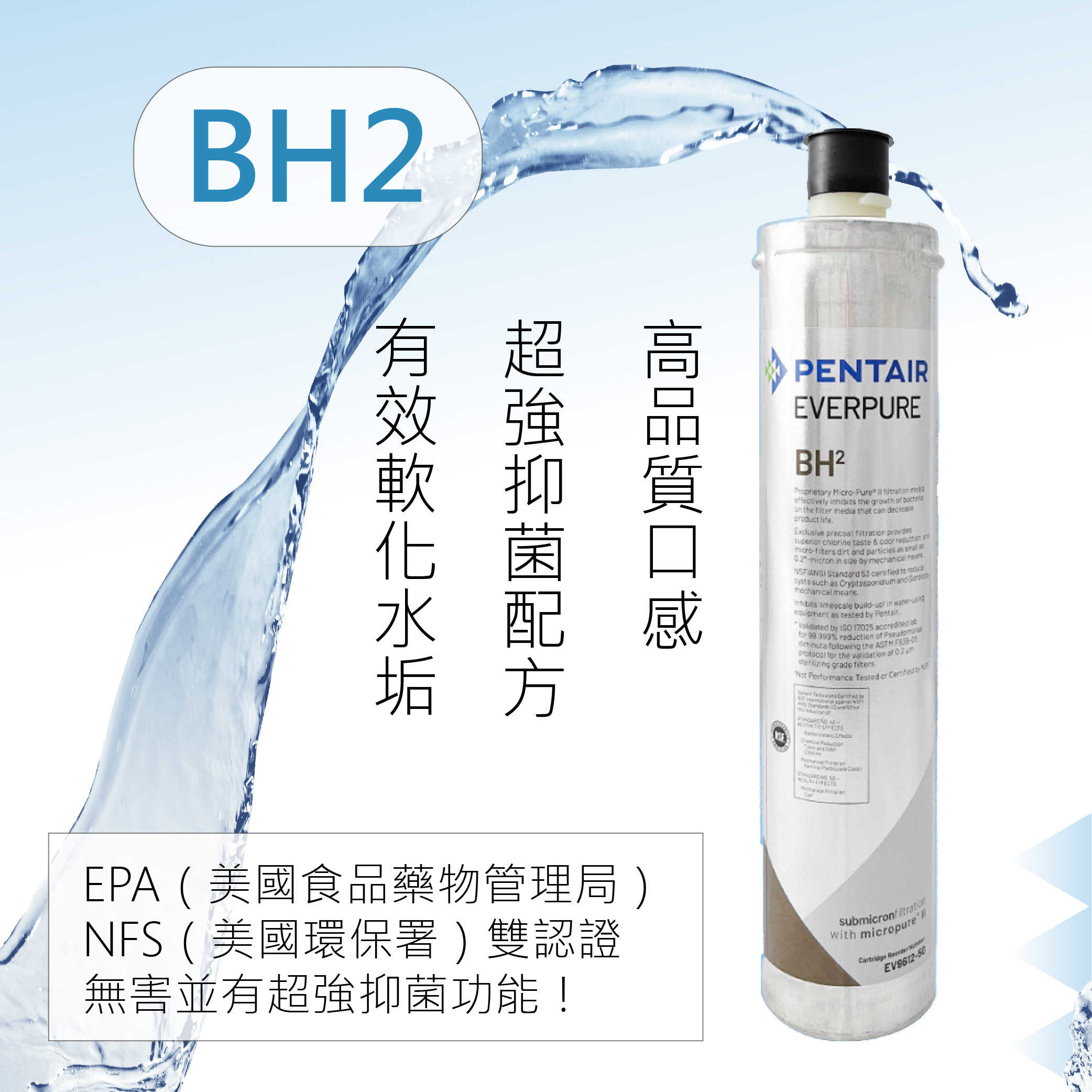 平輸品【EVERPURE】 生飲級濾心 BH2 - 水硯淨水廚具 | 購物橘子